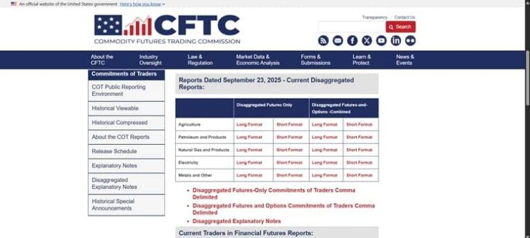 COT in Forex: How to Interpret the Commitment of Traders Report