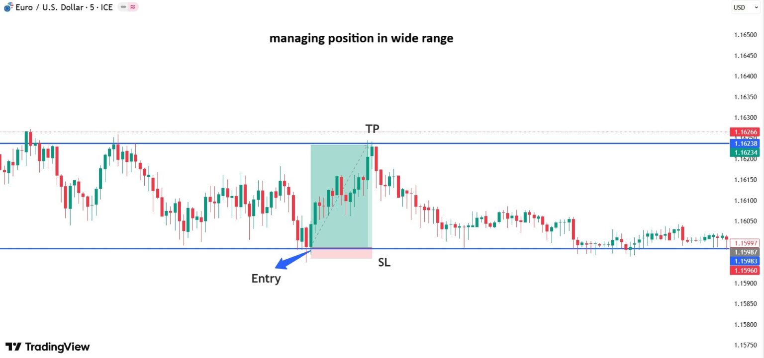 Al Brooks on Trading Ranges: Price Action Strategies