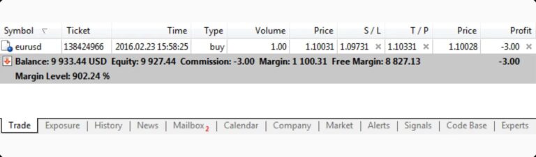 What Is the Difference Between Netting and Hedging Accounts in MetaTrader?